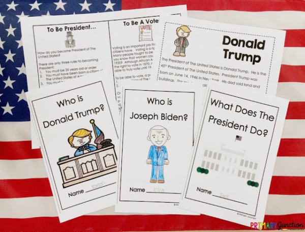 Election Day 2020 Classroom Resources | Primary Junction