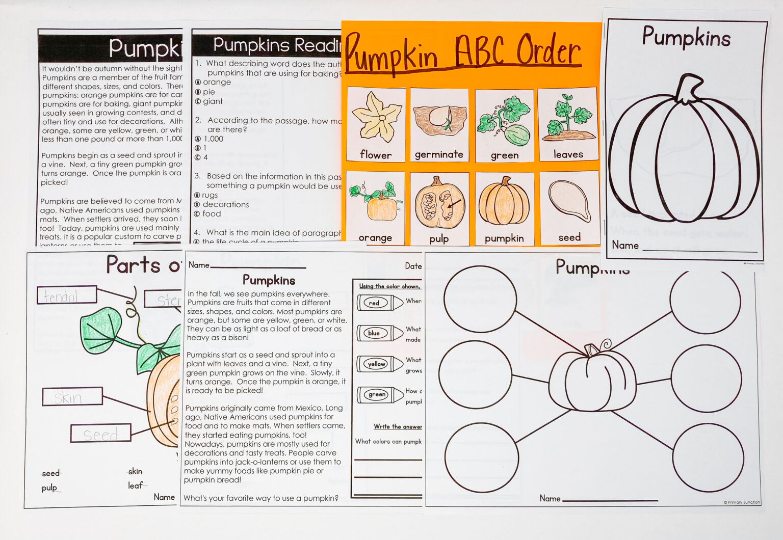 Fun and Engaging Classroom Pumpkin Activities